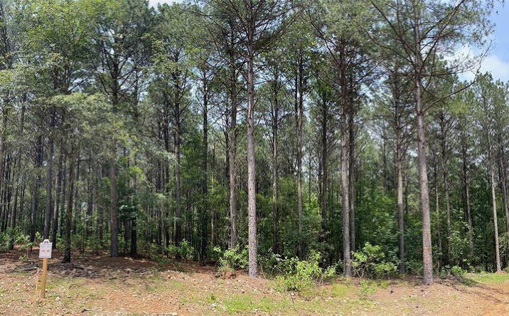 Cedar Hills Lakes #E, Broken Bow, OK 74728 | Crexi.com