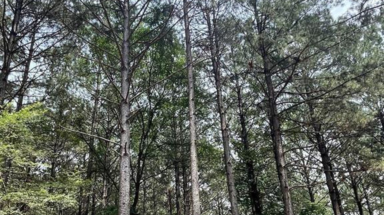 Cedar Hills Lakes #V, Broken Bow, OK 74728 | Crexi.com