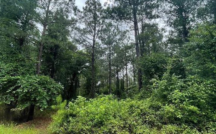 Cedar Hills Lakes #L, Broken Bow, OK 74728 | Crexi.com