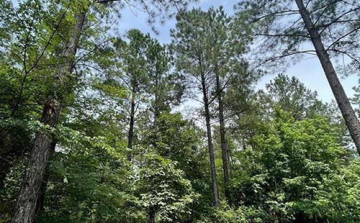 48 Cedar Hilltop Way, Broken Bow, OK 74728 | Crexi.com