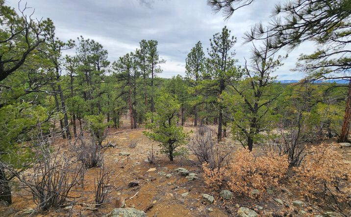 Tbd Cimarron Ranch 33-32-67 Swsw, Cokedale, CO 81082 | Crexi.com