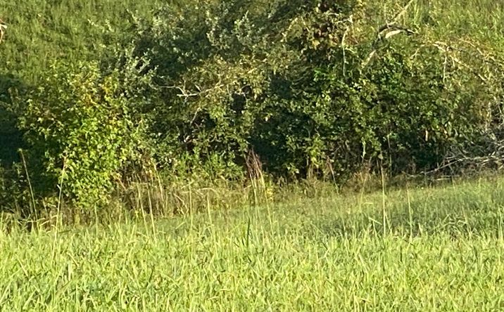 6448 E 114th Place, Crown Point, IN 46307 | Crexi.com