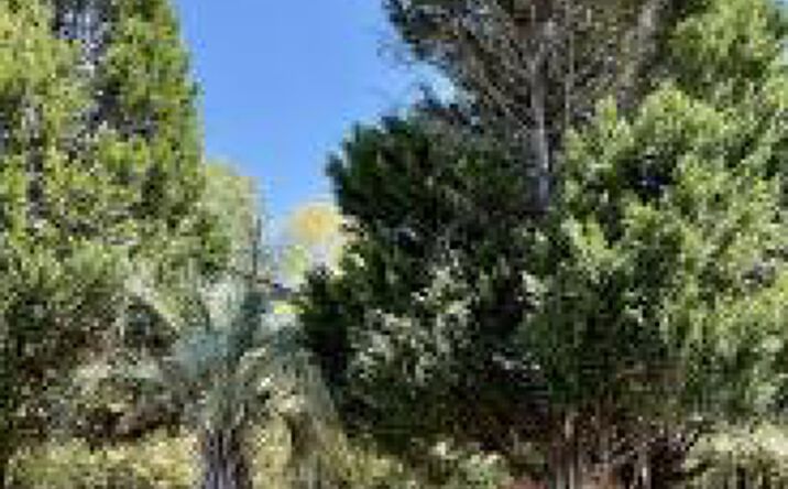 2918 Loren Street, Aiken, SC 29801 | Crexi.com