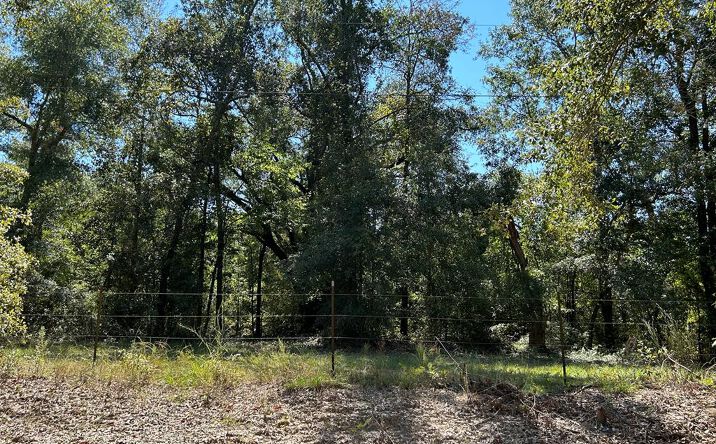 Barnes Rd, Gordon, AL 36343 | Crexi.com