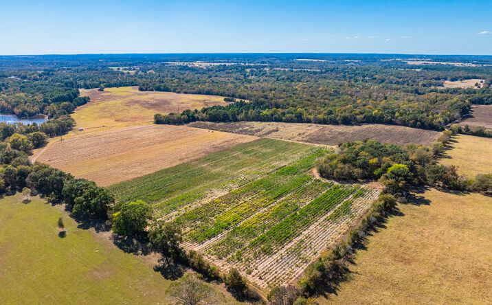 Co Rd 3613, Murchison, TX 75778 | Crexi.com