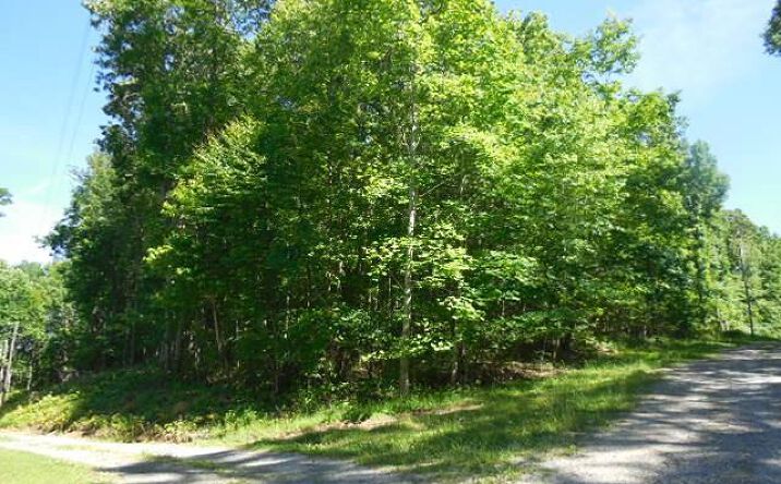 379 Red Willow Road, Cool Ridge, WV 25825 | Crexi.com