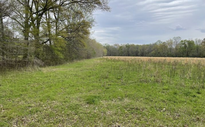 1604 N Old Canton Rd, Canton, MS 39046 | Crexi.com