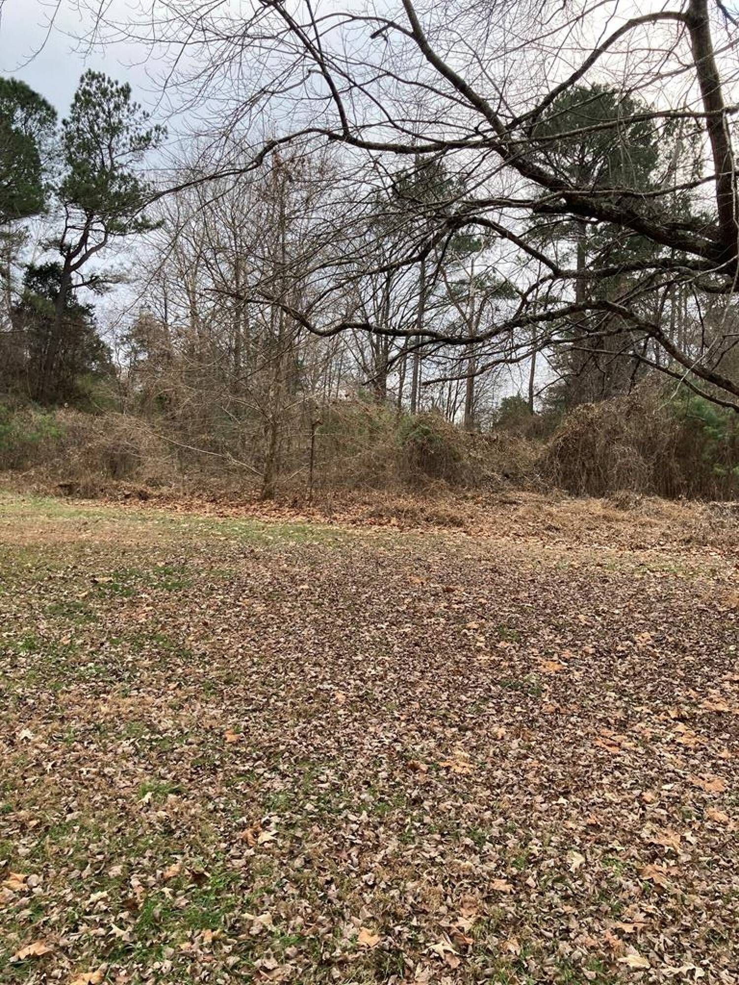 4390 VALE-MCKENZIE RD Bruceton TN 38317-6227 APN: 025 02201 | Crexi.com