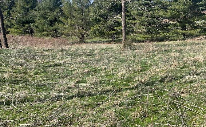 Lot41-42 Fountain Springs, Peterstown, WV 24963 | Crexi.com