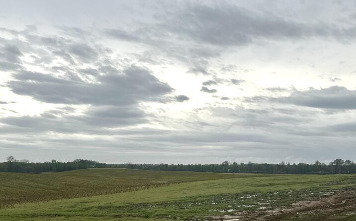 0 Charlie Ennis Road, Dyersburg, TN 38024 | Crexi.com