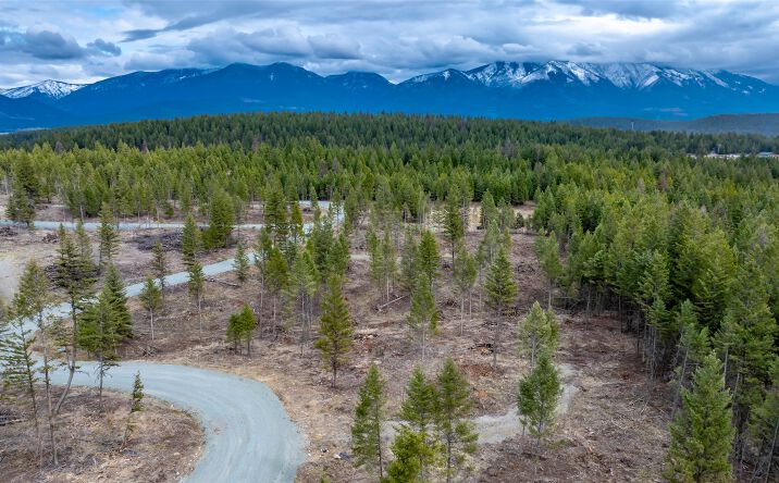 Nhn Lot #34 Osprey Loop, Fortine, MT 59918 | Crexi.com