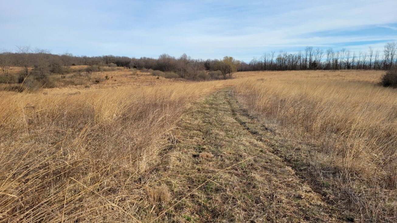 Billy Creek Trail, Novinger, MO 63559 | Crexi.com