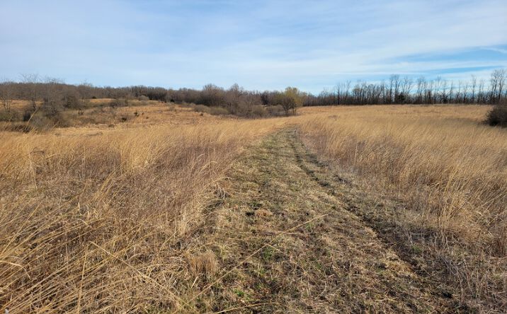 Billy Creek Trail, Novinger, MO 63559 | Crexi.com