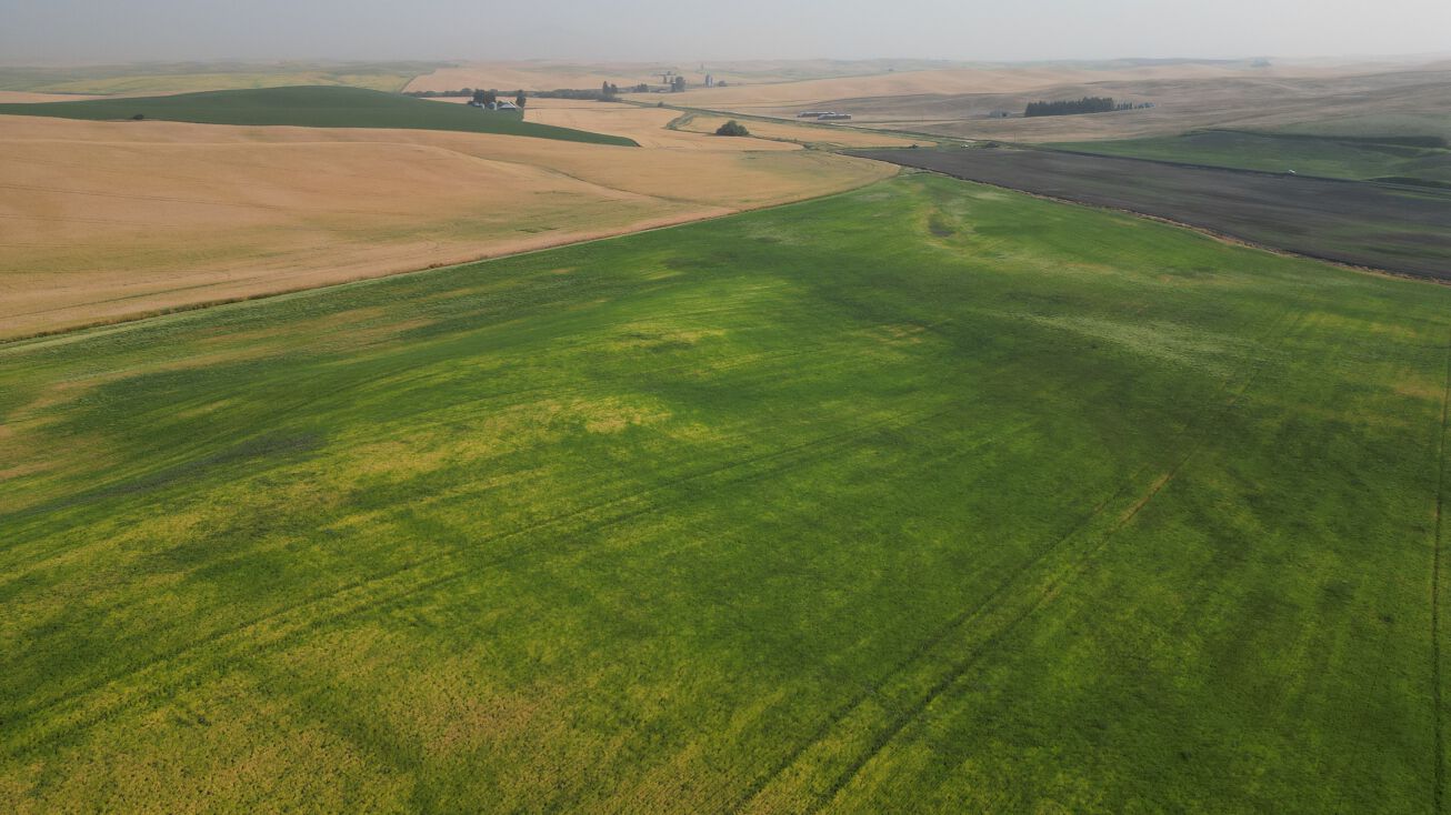 7701 Farmington Rd, Farmington, WA 99128 | Crexi.com