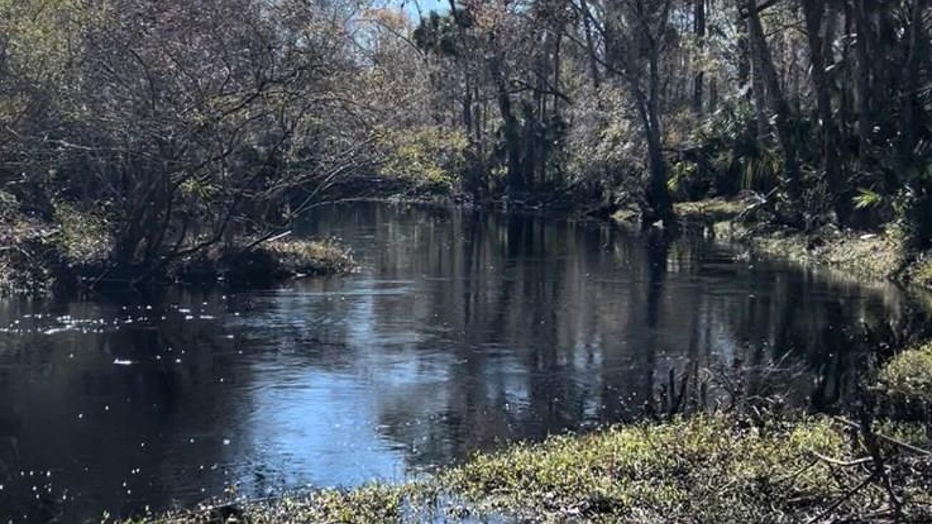 1708 NE River Rd, Steinhatchee, FL 32359 | Crexi.com