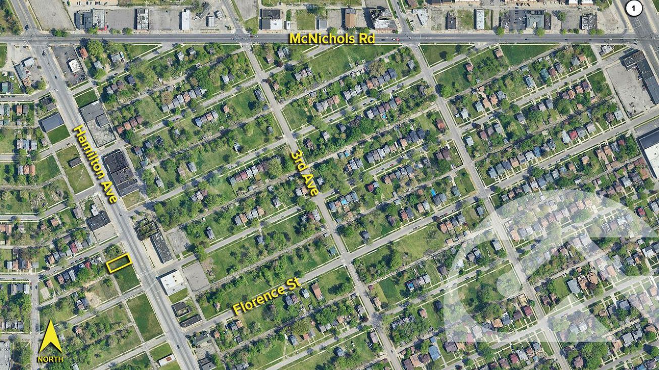 16625 Hamilton Ave, Highland Park, MI 48203 | Crexi.com