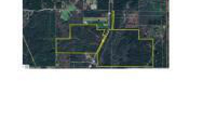 0 Hwy 43, Silver Creek, MS 39663 | Crexi.com