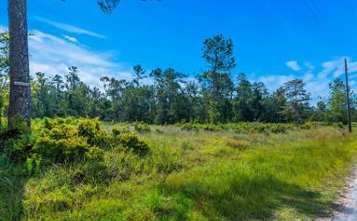 Panhandle Rd, Ragley, LA 70657 | Crexi.com