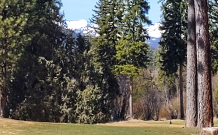 12 Golf View Drive, Seeley Lake, MT 59868 | Crexi.com