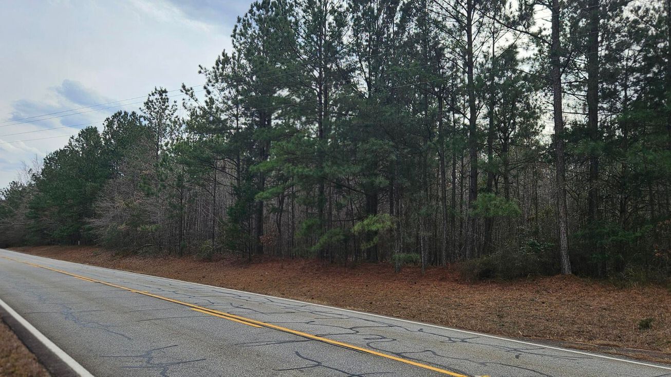 0 hwy 220 Tract A, Lincolnton, GA 30817 | Crexi.com