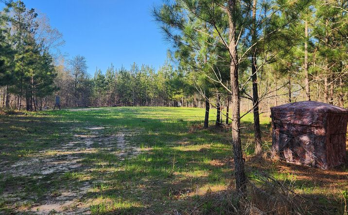 California Woods 2B, Lumpkin, GA 31821 | Crexi.com