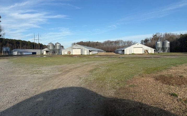 The end of will slade road wood, woodland, NC 27897 | Crexi.com