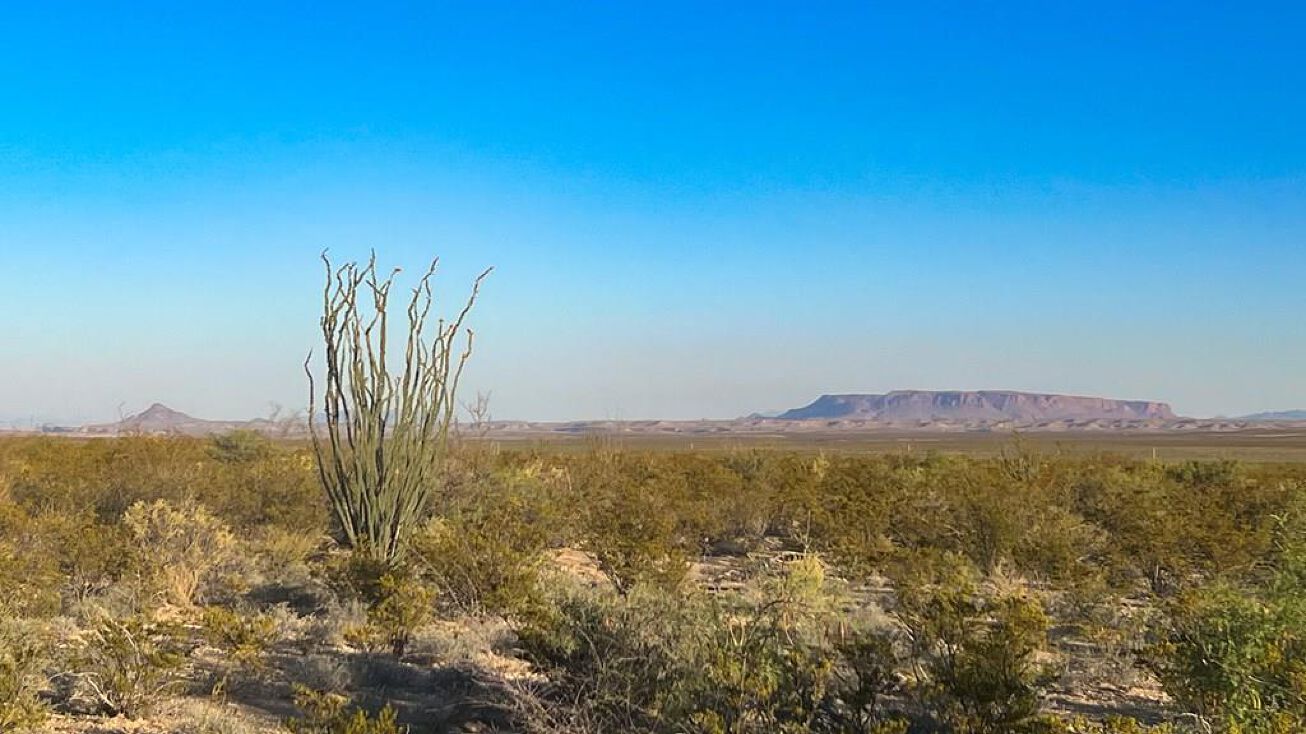 25-3 S Hwy 118, Alpine, TX 79830 | Crexi.com