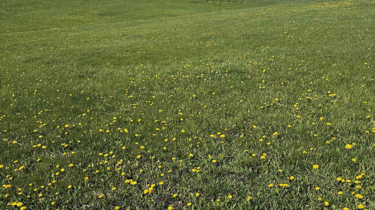 000 Monroe Street, Brooklyn, IA 52211 | Crexi.com