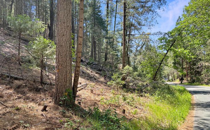 1111 Norton Grade, Colfax, CA 95713 | Crexi.com