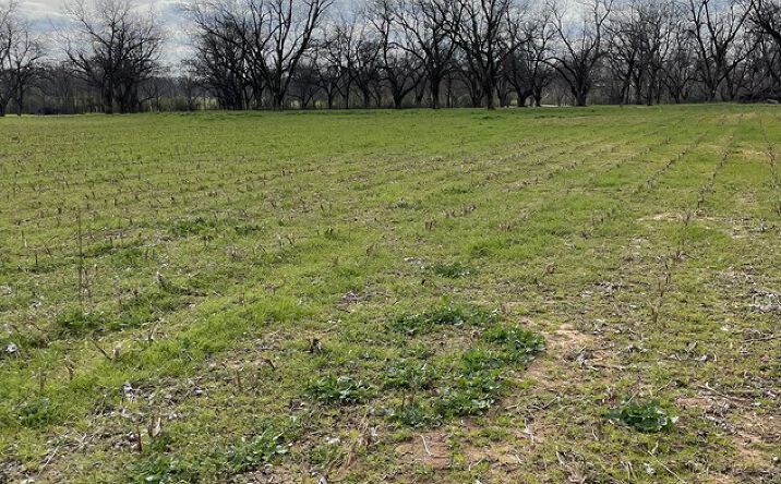 0 Dunbar Rd, Byron, GA 31008 | Crexi.com