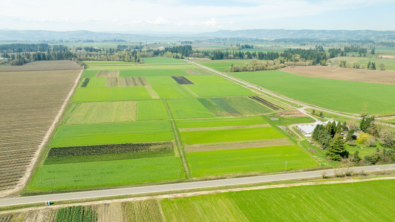 21713 French Prairie Rd NE, Saint Paul, OR 97137 | Crexi.com