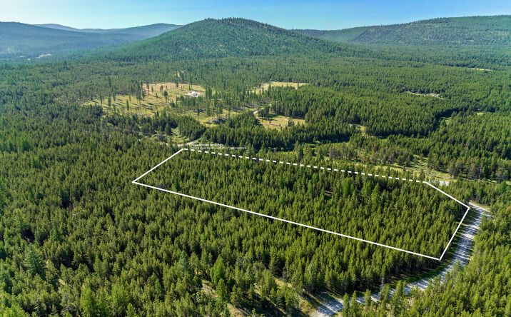 26 New Timber Ridge Trail, Marion, MT 59925 | Crexi.com