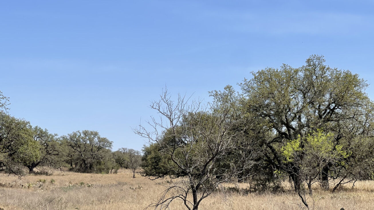 Heritage Ranch, Fife, TX 76825 | Crexi.com
