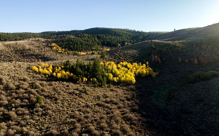 Tanner Ranch Montpelier, Montpelier, ID 83254 | Crexi.com