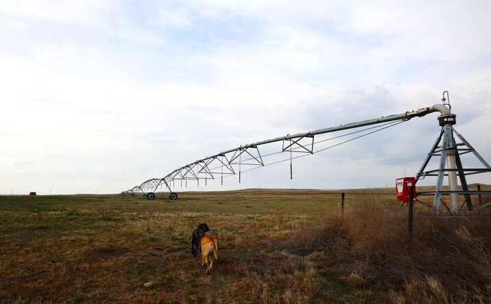 11905 Co Rd 5, Merino, CO 80741 | Crexi.com