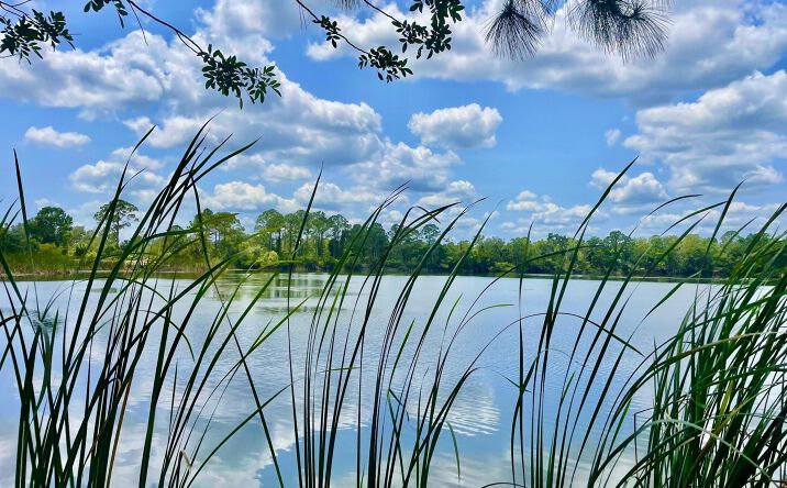 0000 Blounts Ridge Road, Mims, FL 32754 | Crexi.com