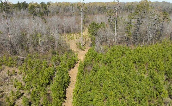 Lyon 40, Royal, AR 71968 | Crexi.com