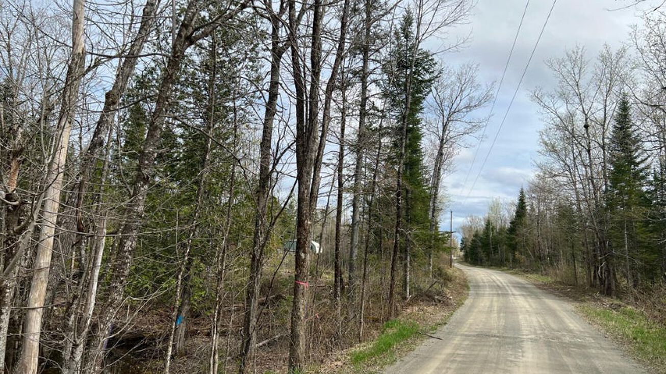 Cow Team Rd, Crystal, ME 04747 | Crexi.com