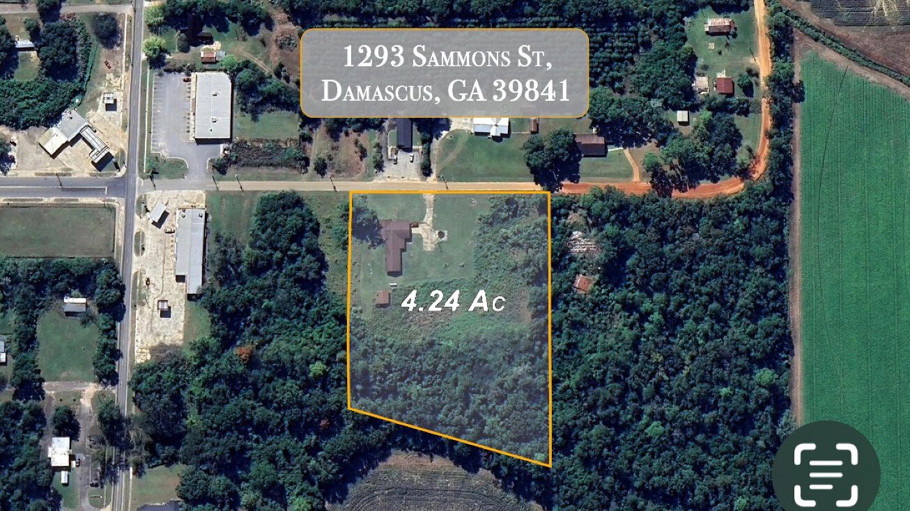1293 Sammons St, Damascus, GA 39841 | Crexi.com