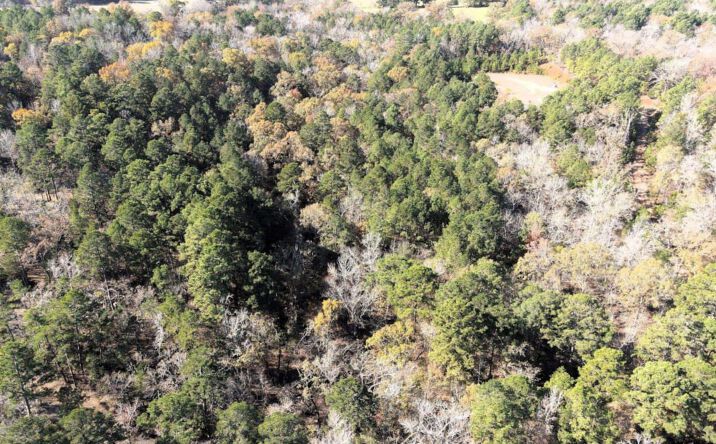 TBD CR 3108, Jacksonville, TX 75766 | Crexi.com