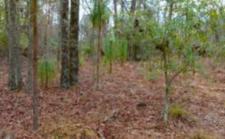 00 Fox Run, Windsor, SC 29856 | Crexi.com