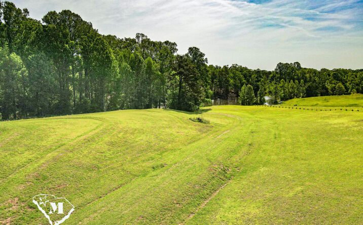 Timber Land for Sale in Oakfield, GA | Crexi