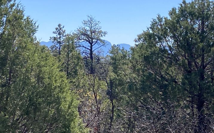 TBD Rim Drive Lots 72 & 73, Rutheron, NM 87551 | Crexi.com