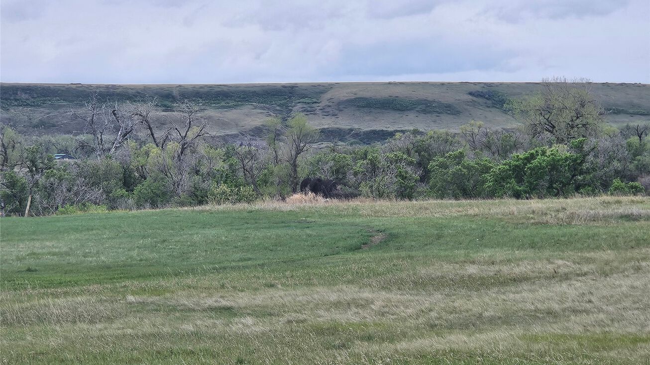 TBD Hamilton Place, Great Falls, MT 59404 | Crexi.com