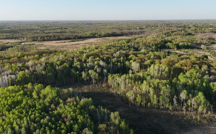 180th Ln, undefined, MN 56350 | Crexi.com