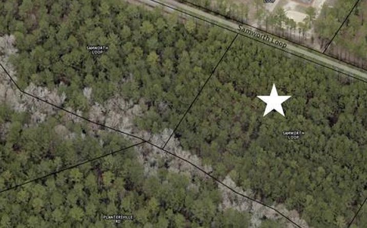 0 Samworth Loop, Georgetown, SC 29440 | Crexi.com