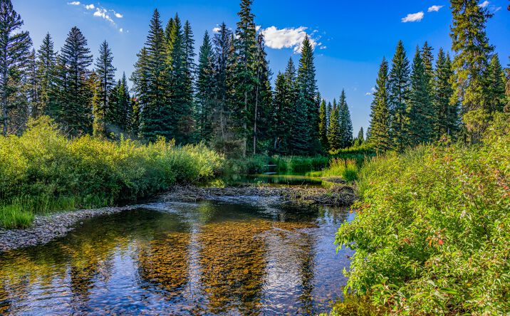 NHN Route 83, Seeley Lake, MT 59868 | Crexi.com