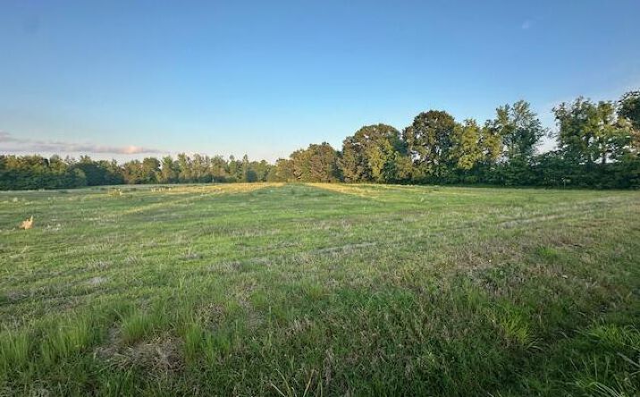 0 Old Trezevant Road, Trezevant, TN 38258 | Crexi.com