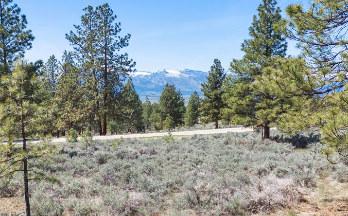 83 Mascot Trail, Hamilton, MT 59840 | Crexi.com
