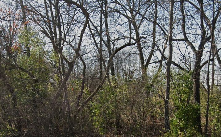 160 N US Hwy12, Fox Lake, IL 60020 | Crexi.com